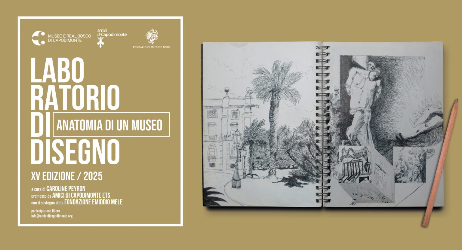 Sabato 13 dicembre 2025 Laboratorio di disegno ‘Anatomia di un museo' a ...